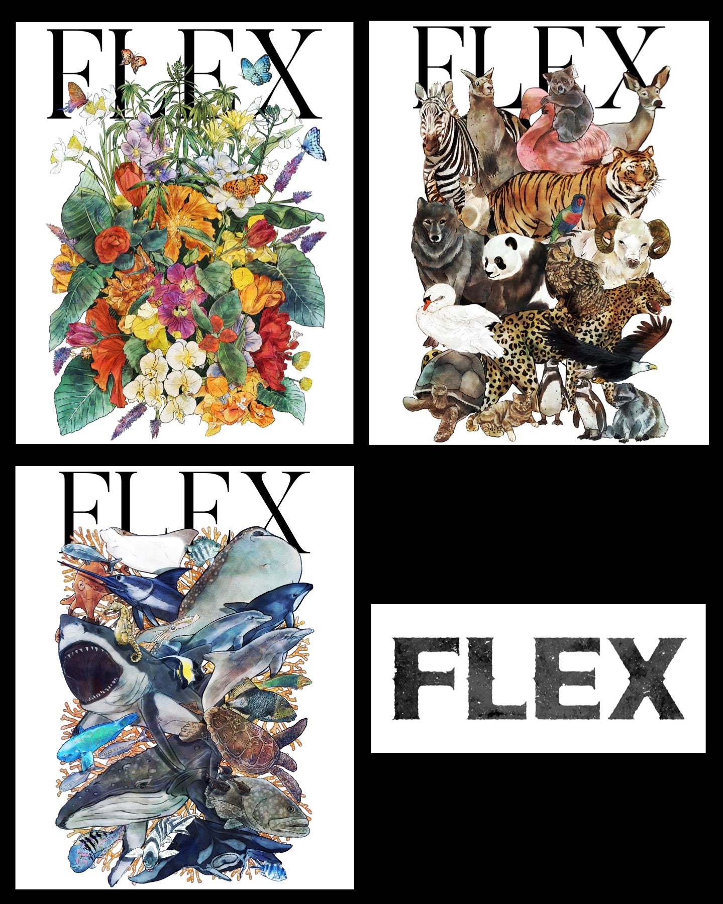 sticker correction 『FLEX×Diversity』 – FLEX eyewear&acc